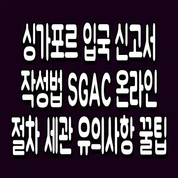 싱가포르 입국 신고서 작성법 SGAC 온라인 절차 세관 유의사항 꿀팁